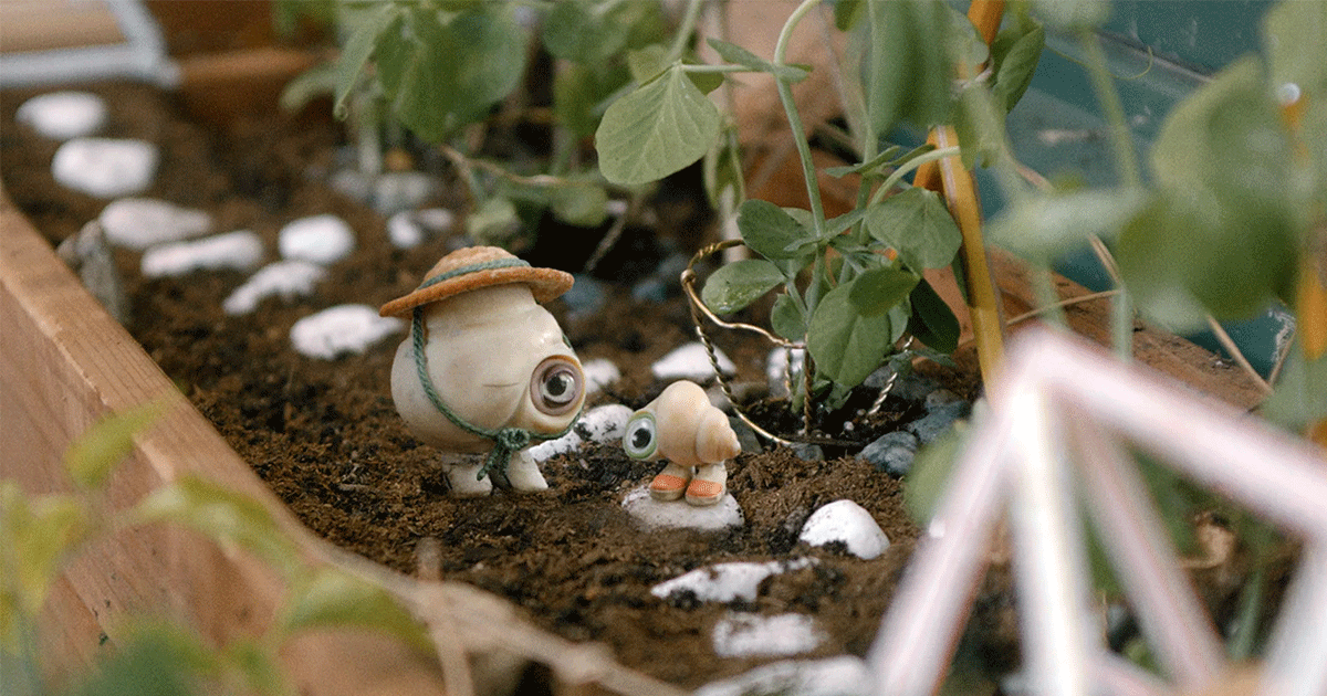 Marcel the Shell with Shoes on – 41 North Film Festival